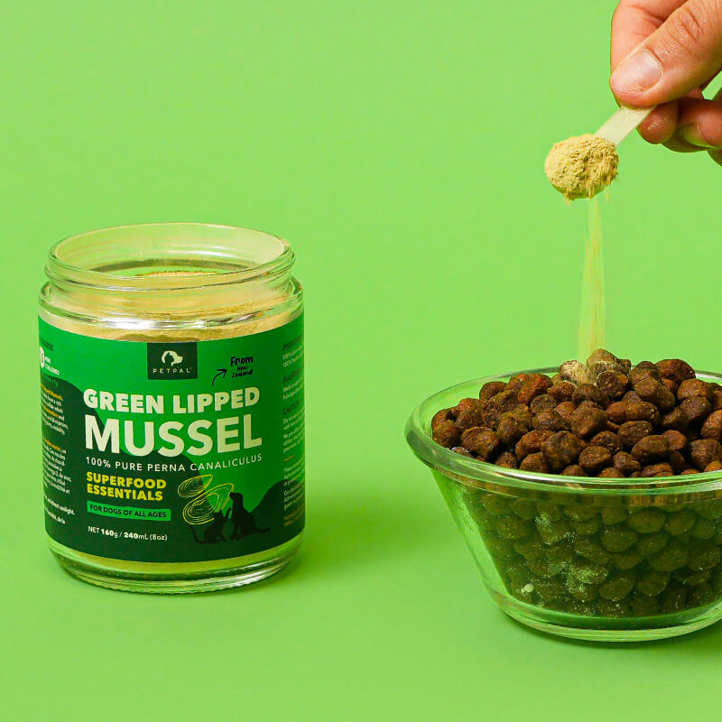Green Lipped Mussel Powder – Petpal Foods
